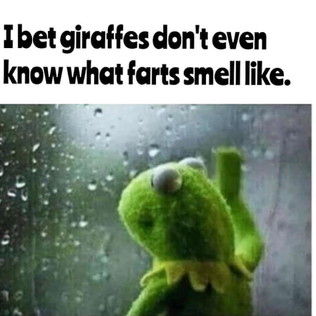 Best Funny giraffe Memes - 9GAG
