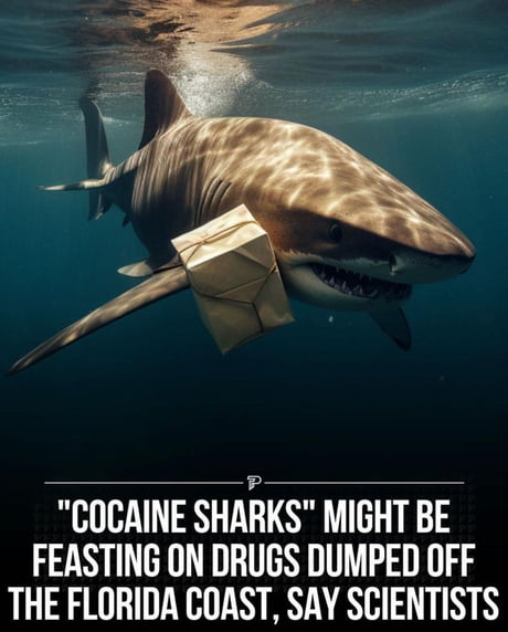 Best Funny dont do drugs Memes - 9GAG