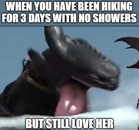 Best Funny toothless Memes - 9GAG