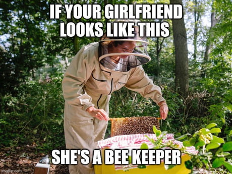 Best Funny bee Memes - 9GAG