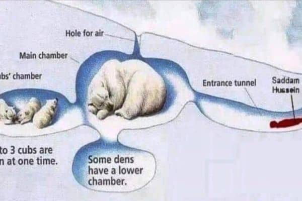 Send the best Saddam Husein memes - 9GAG