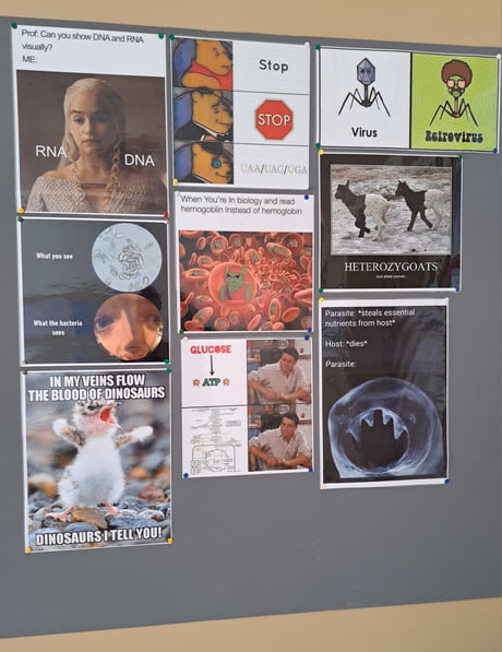 Best Funny biology Memes - 9GAG