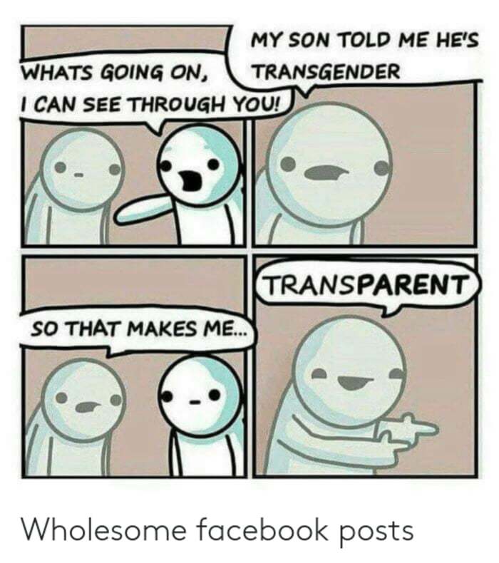 Wholesome trans meme - 9GAG