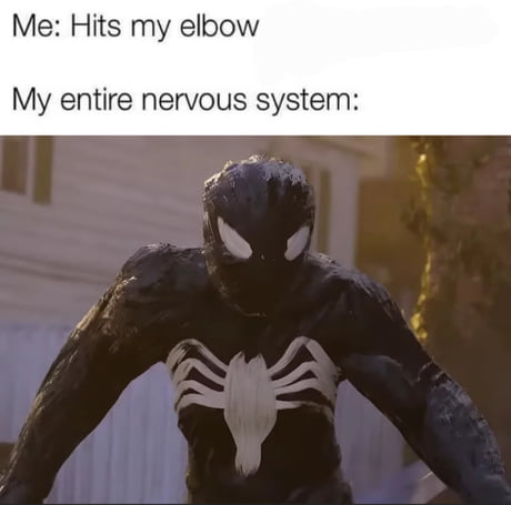 Nervous System Memes When I Thought Of This I Was Going To Share It As