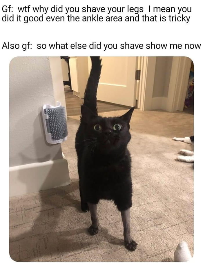 When you get carried away …. - 9GAG