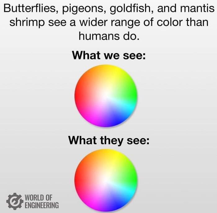 Such pretty colors - 9GAG