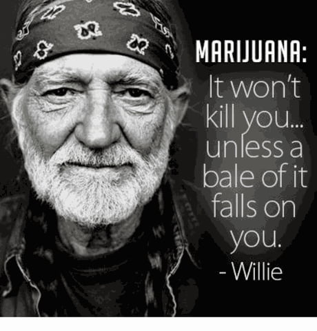 Willie Nelson Meme
