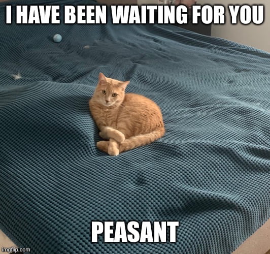 Cats been waiting for too long. - 9GAG