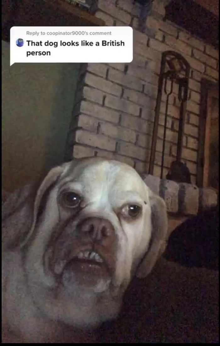 Wo’oh bo’ ooh - 9GAG