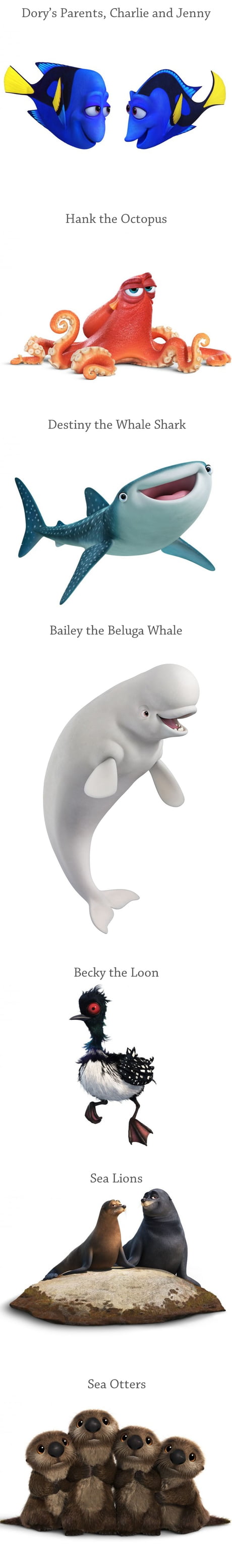 All Characters From Finding Dory