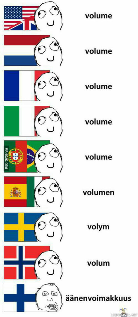 Finnish Grammar Memes