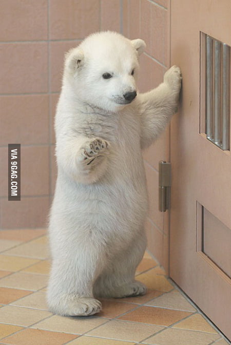 Chill bro... All's cool in here - 9GAG