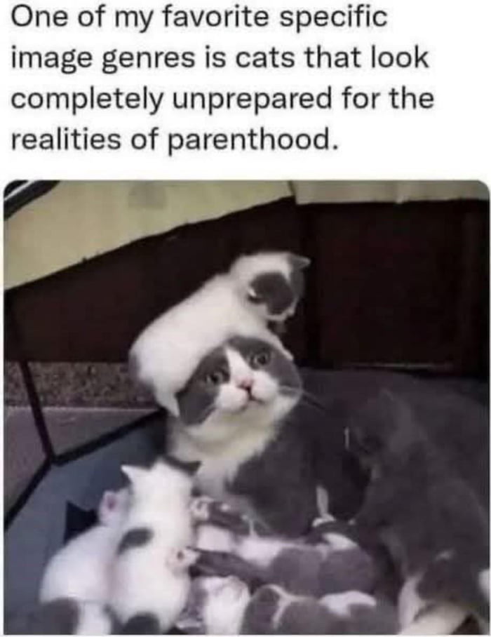 Its never too many - 9GAG