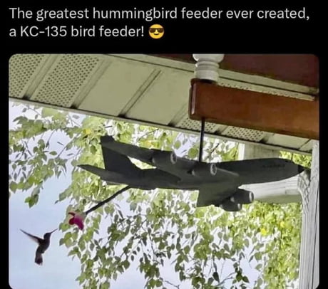 Best Funny feeder Memes - 9GAG