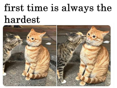 Best Funny first time Memes - 9GAG