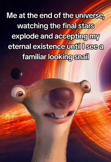 Cute Snail Memes
