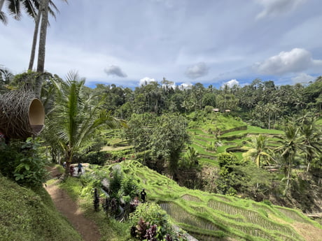 Best Funny bali Memes - 9GAG