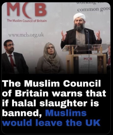 Best Funny halal Memes - 9GAG