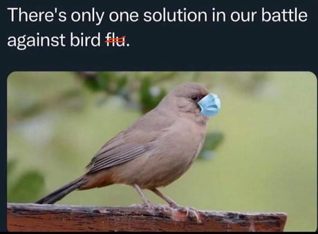 Best Funny mask Memes - 9GAG