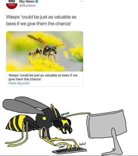 Best Funny wasp Memes - 9GAG