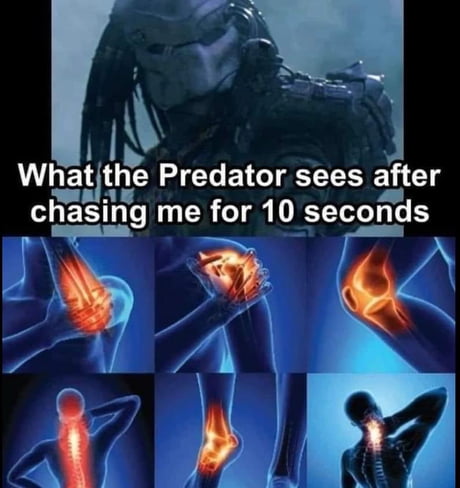 Best Funny predator Memes - 9GAG