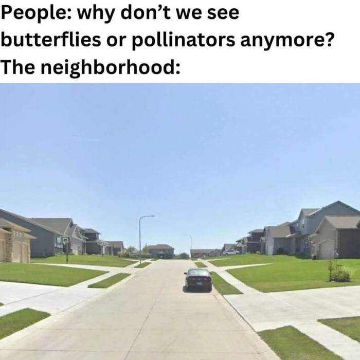 Take a guess susan. - 9GAG