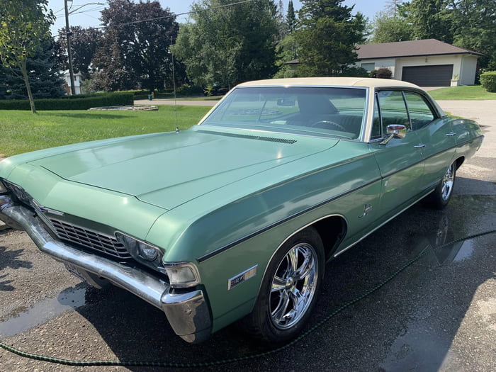 Take a break from all the propaganda. Here's my freshly washed, all ...