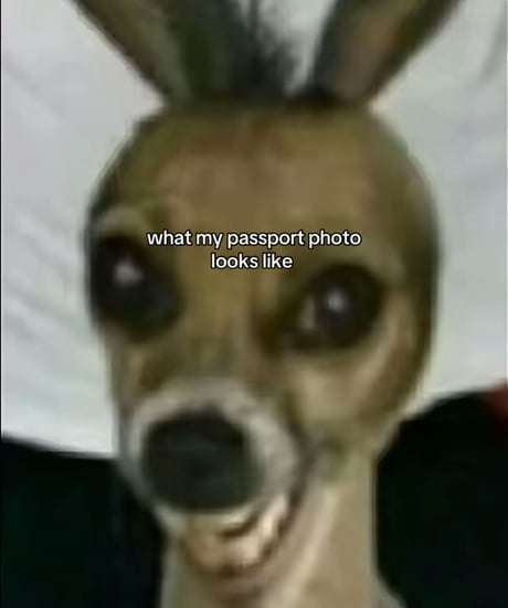 Best Funny passport Memes - 9GAG