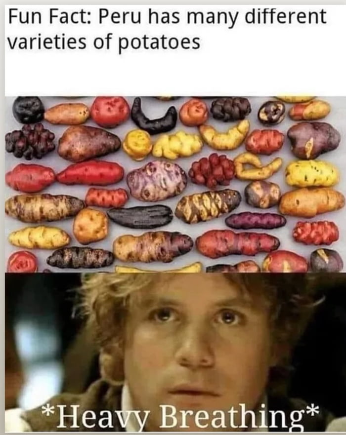 Pack your bags Sam. - 9GAG