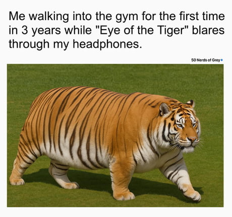 Terrible Tiger Memes