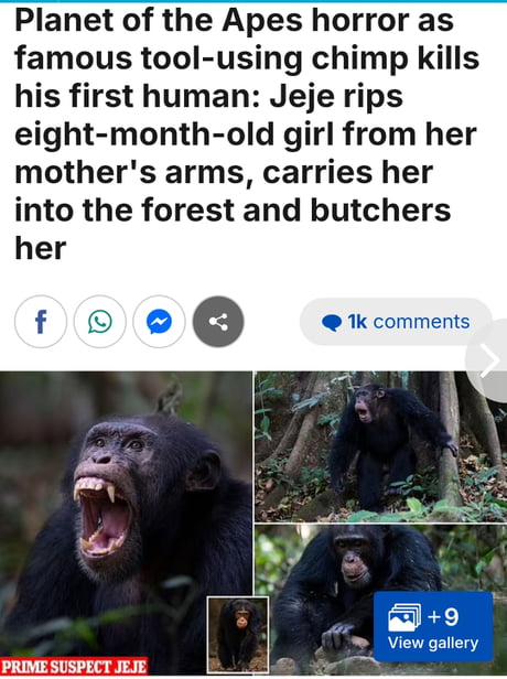 Best Funny butcher Memes - 9GAG