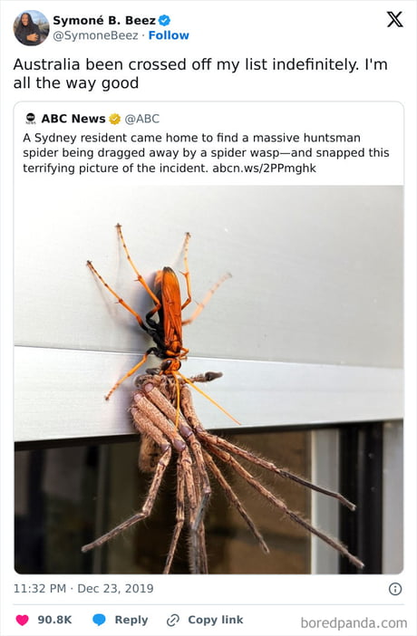 Best Funny huntsman spider Memes - 9GAG