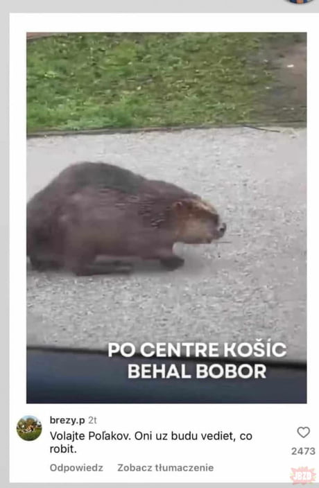 Funny Czechia 🇨🇿 Memes - 9GAG