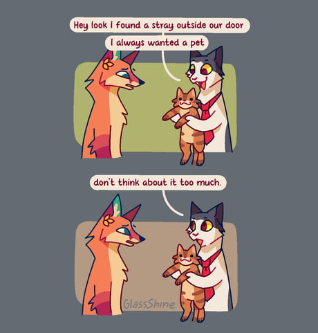 Pet Fox Memes