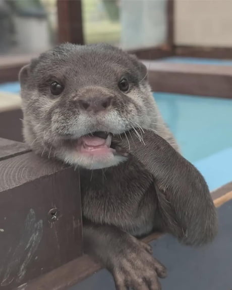 Best Funny monch Memes - 9GAG