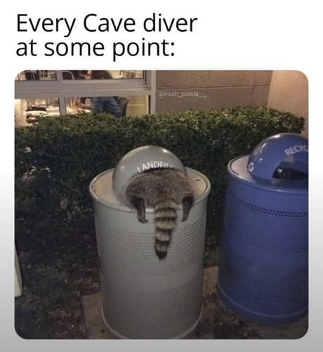 Debris Memes Пълен Trash Memes Added A New Photo. Пълен