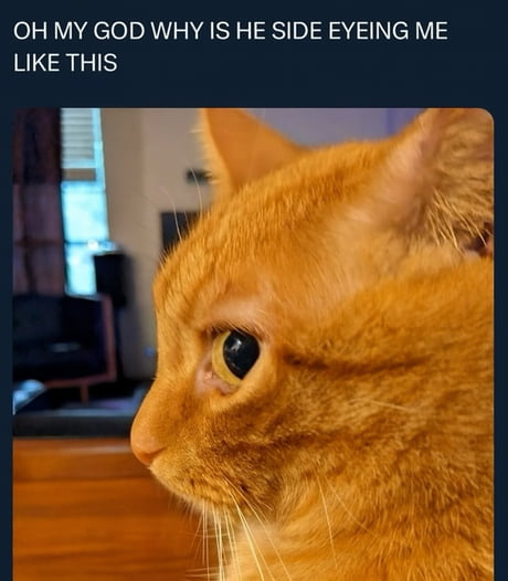 Best Funny judging Memes - 9GAG