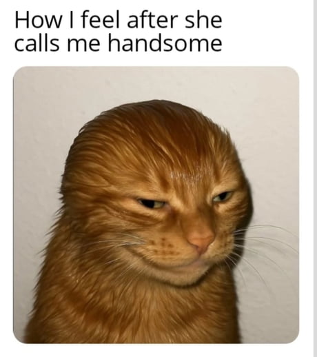 Best Funny compliment Memes - 9GAG