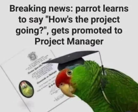 Best Funny parrot Memes - 9GAG