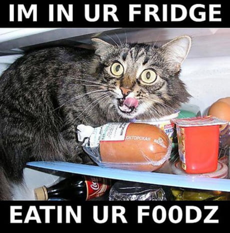 Memes Mange
