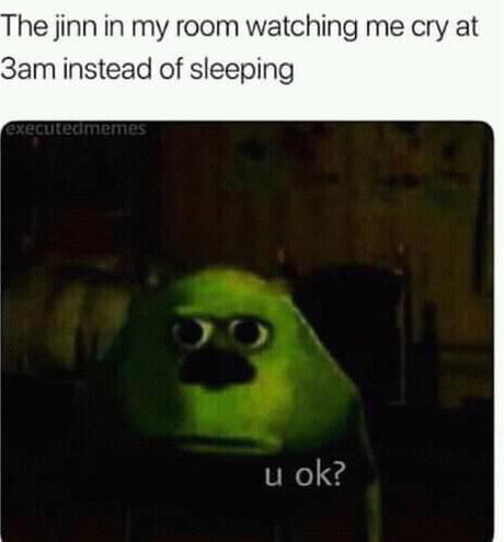 Jinn Memes Instagram Photo By Mewlana Jinn Ibne Hurairah • Nov 17,