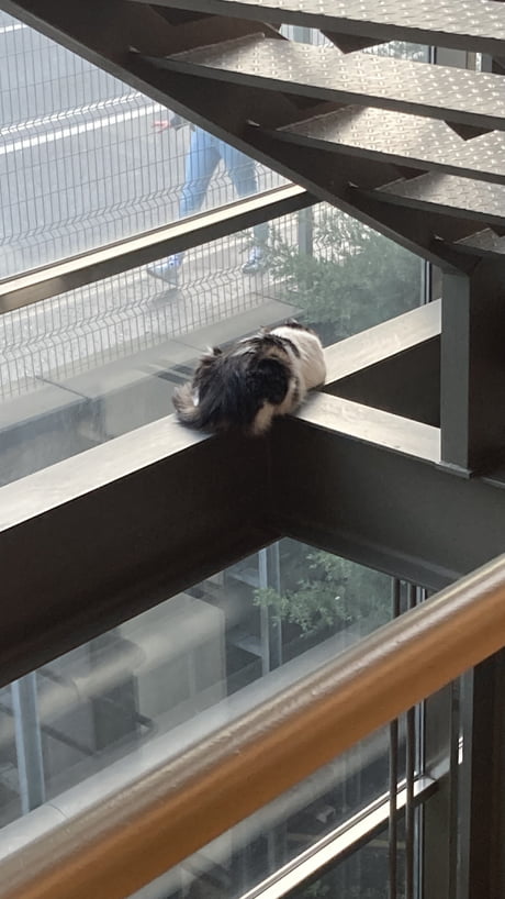 Best Funny istanbul Memes - 9GAG