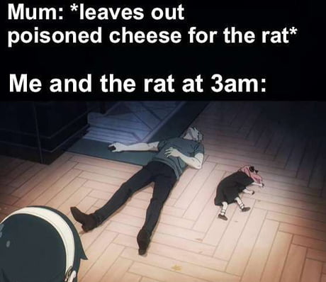 Best Funny rat Memes - 9GAG