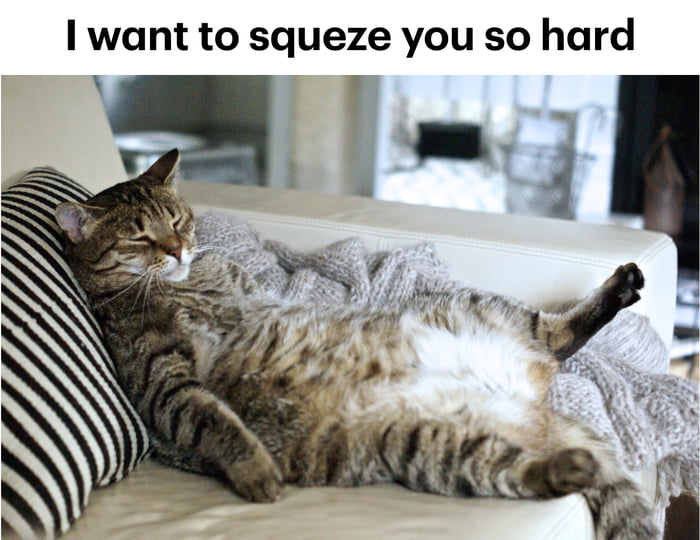 Cute aggression - 9GAG