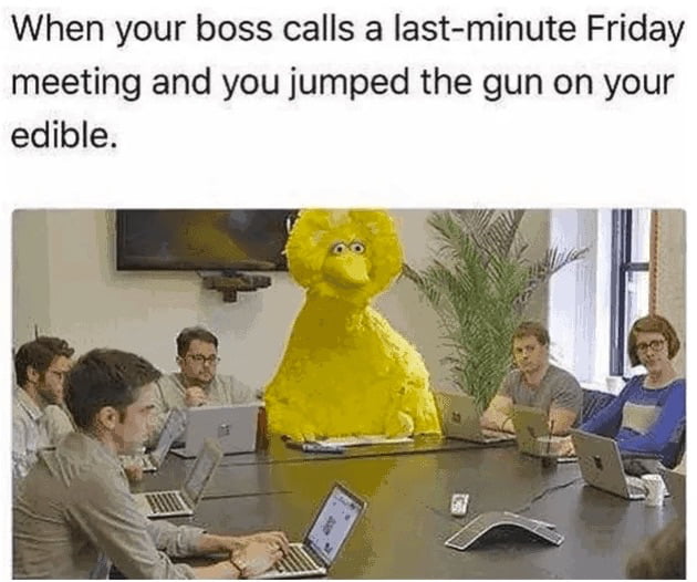 This is a decision I immediately regret - 9GAG