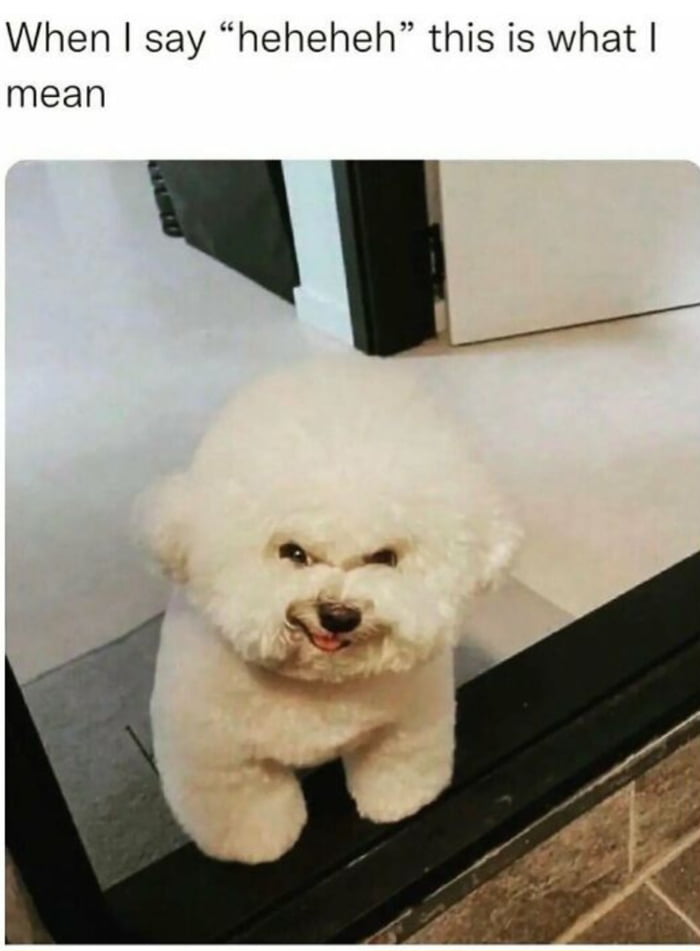 Hehe Hehe - 9GAG