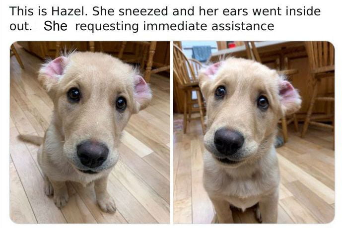 She Needs Help 9gag