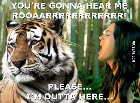 Katy Perry Roar Memes Katy Perry's 'Roar' Is More Of The Same Sugar