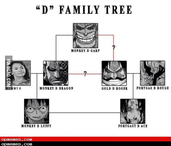 One piece "D" family - 9GAG