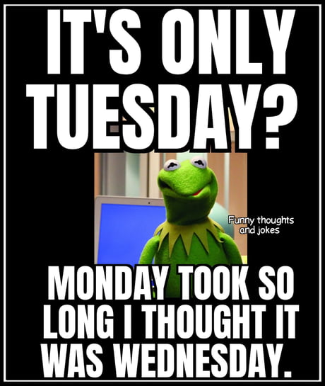 Tuesday Funny